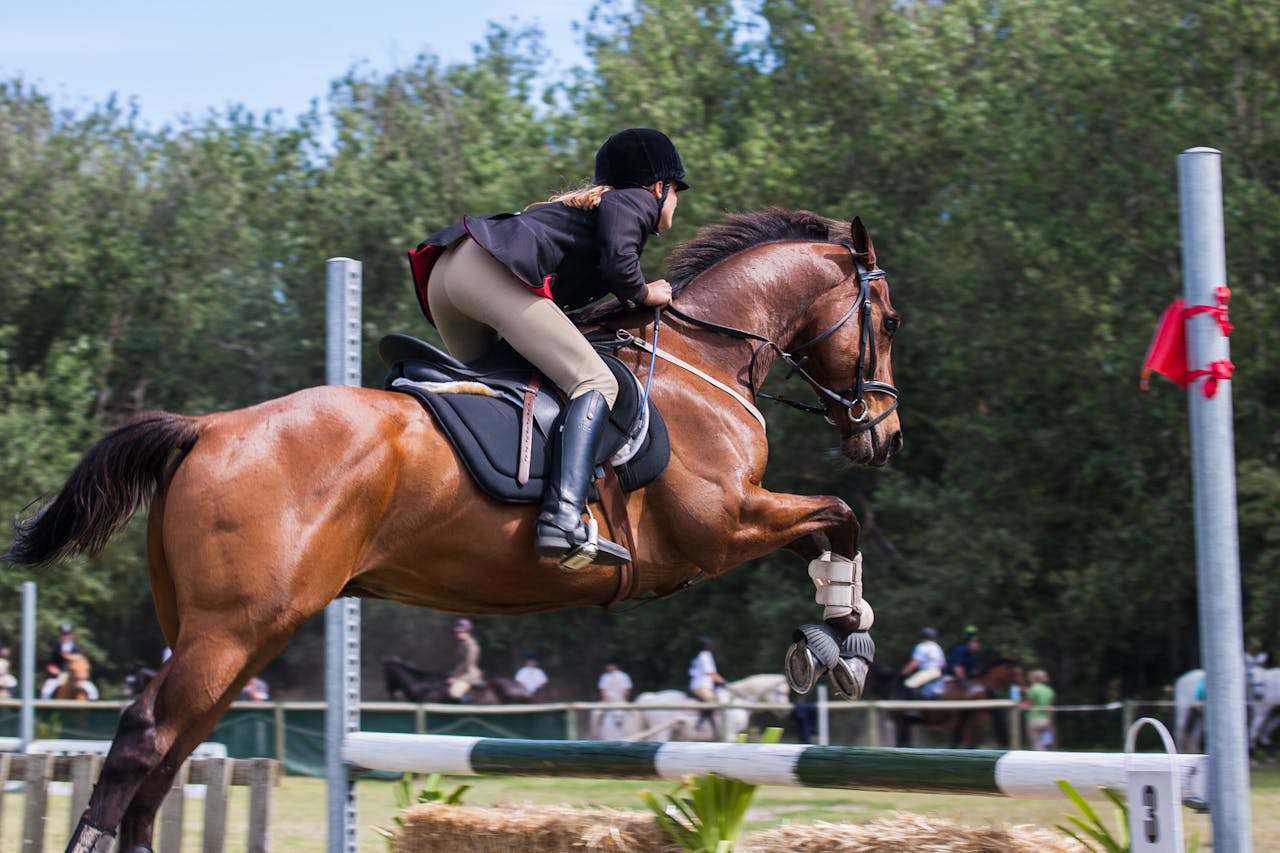 Guide to Choosing and Setting Up Horse Jump Standards - Boyne Gazette