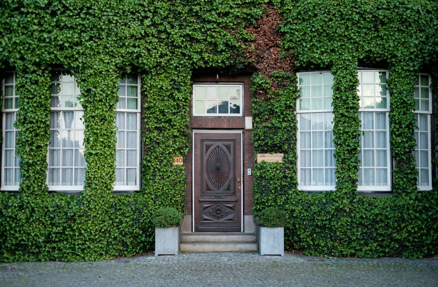 How to Choose the Perfect Entry Door for Your Home - Boyne Gazette