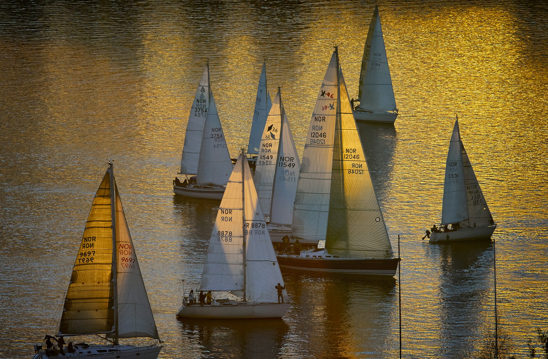 The Joy and Freedom of Sailing Adventures - Boyne Gazette